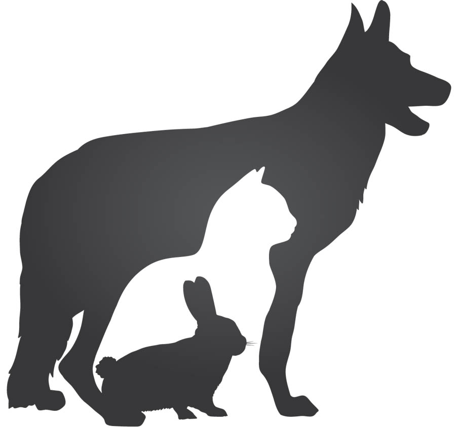 Everything is Pawsible